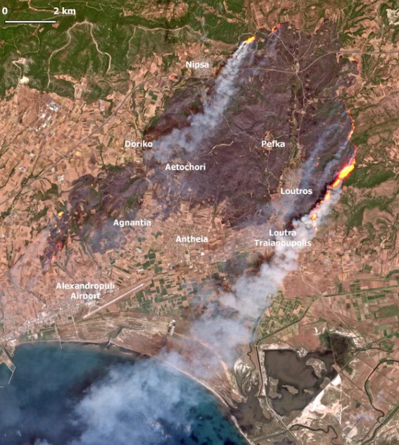 Nouvelle vague d'incendies de forêt en Grèce : 21 morts